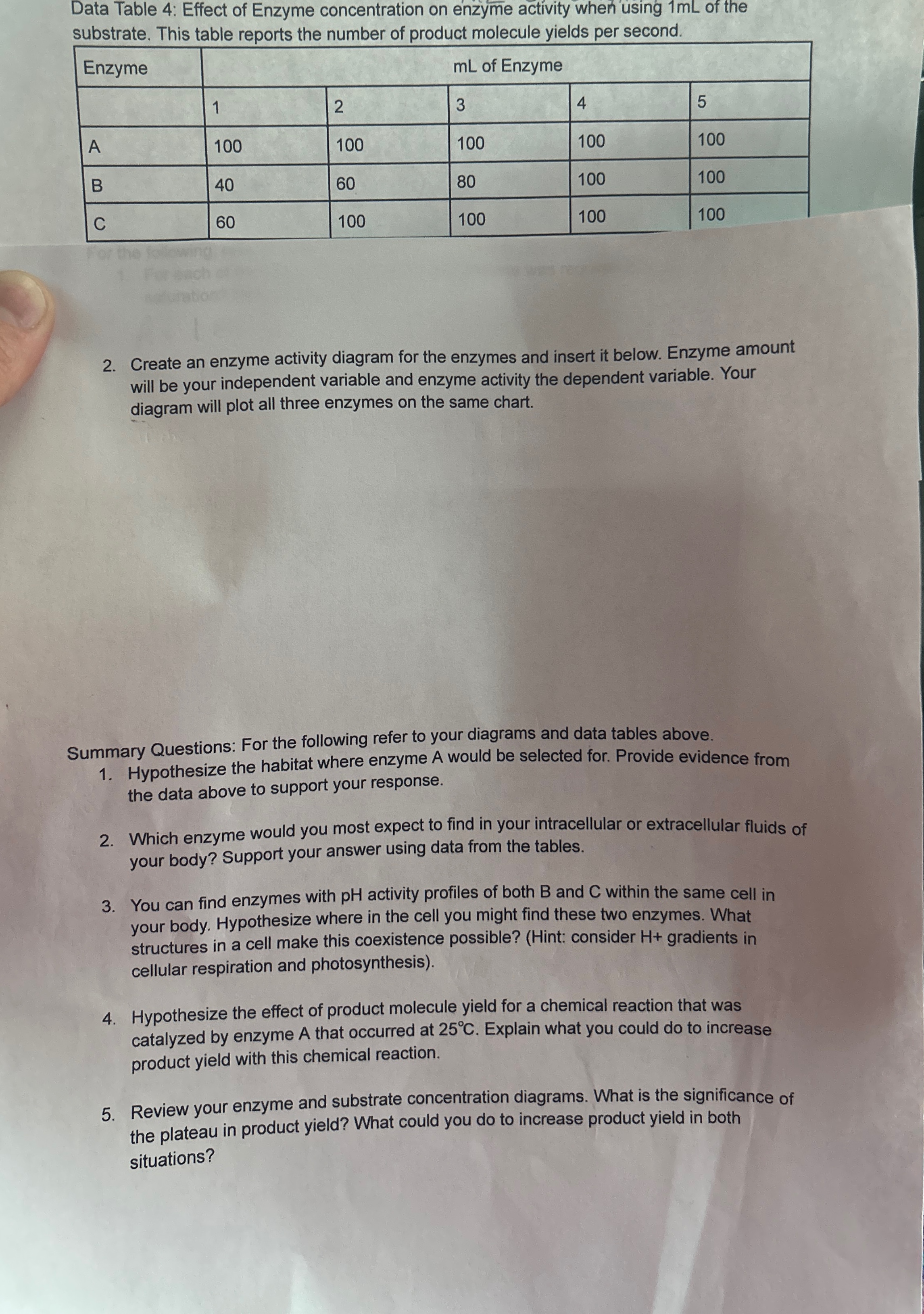 Solved Data Table 4 Effect Of Enzyme Concentration On