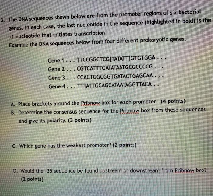 Solved 3. The DNA sequences shown below are from the | Chegg.com