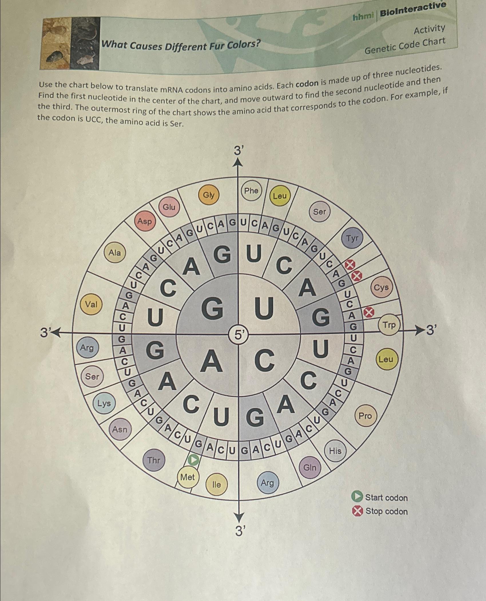 Solved F205. ﻿Fin (a) ﻿hhmi BiolnteractiveActivityWhat | Chegg.com