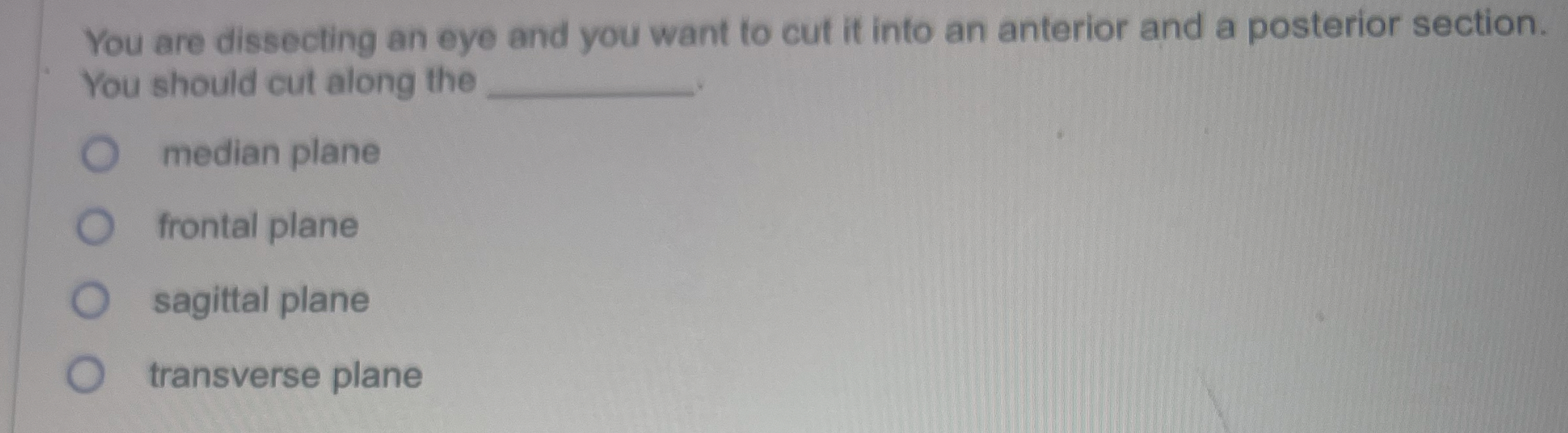 Solved You are dissecting an eye and you want to cut it into | Chegg.com