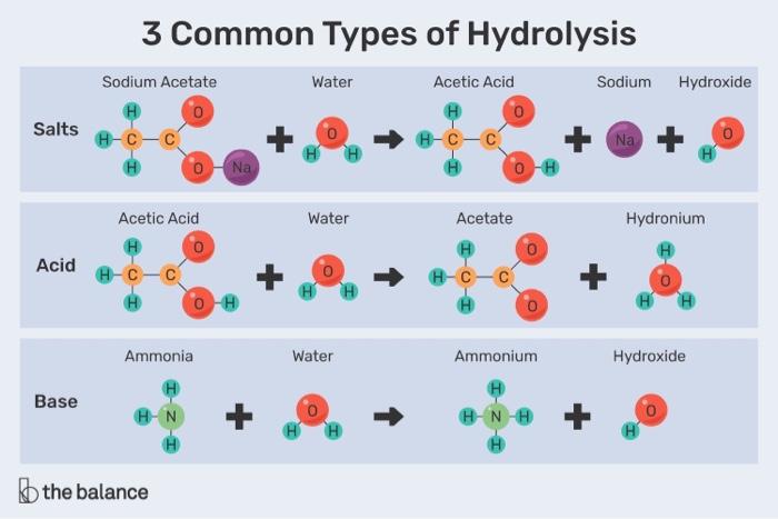 Solved 3 Common Types of Hydrolysis Water Acetic Acid Sodium | Chegg.com
