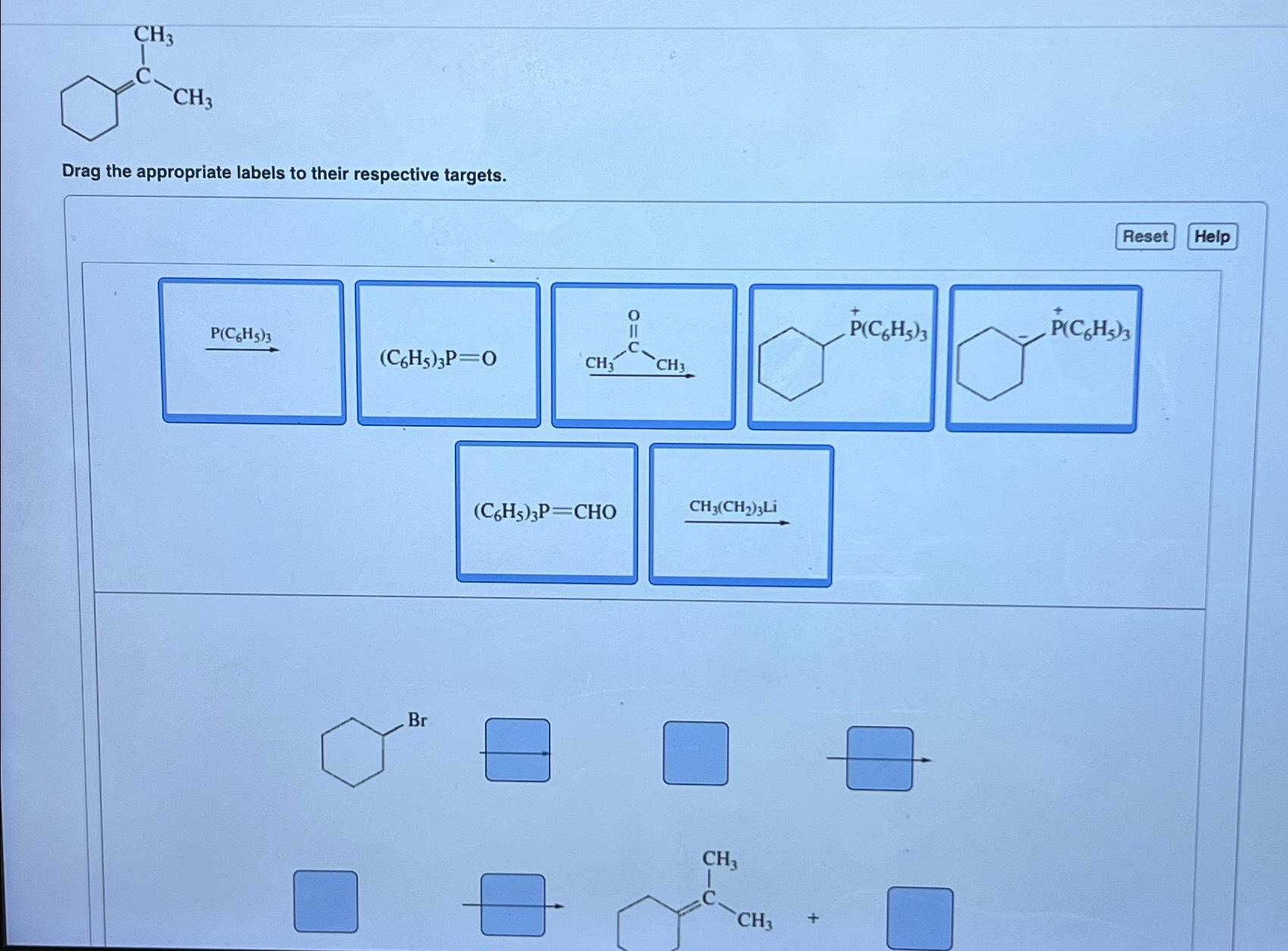 Solved Drag the appropriate labels to their respective | Chegg.com
