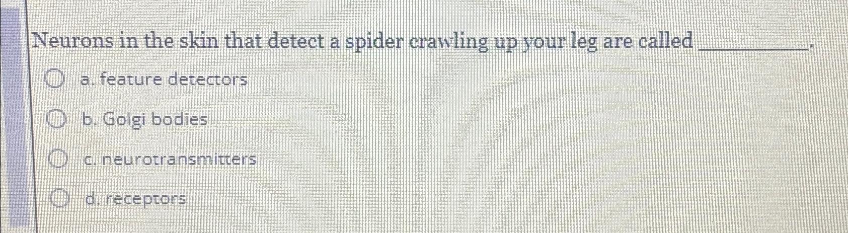 Solved Neurons in the skin that detect a spider crawling up | Chegg.com