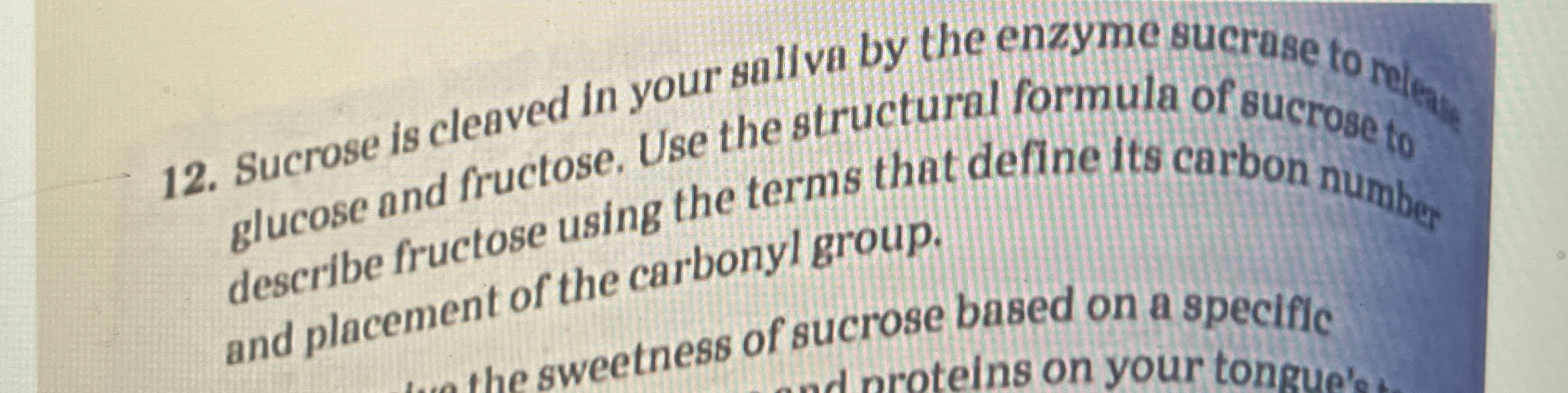 Solved Sucrose is cleaved in your saliva by the enzyme | Chegg.com
