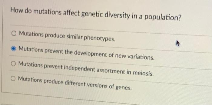 Solved How do mutations affect genetic diversity in a | Chegg.com