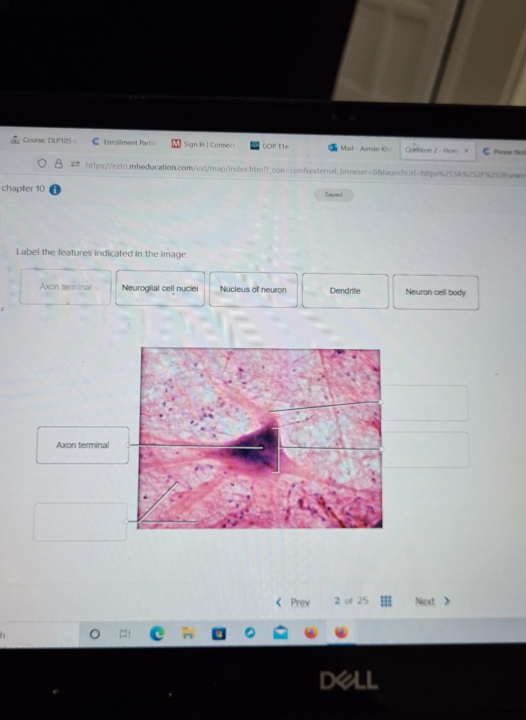 Solved Label the features indicated in the image. | Chegg.com