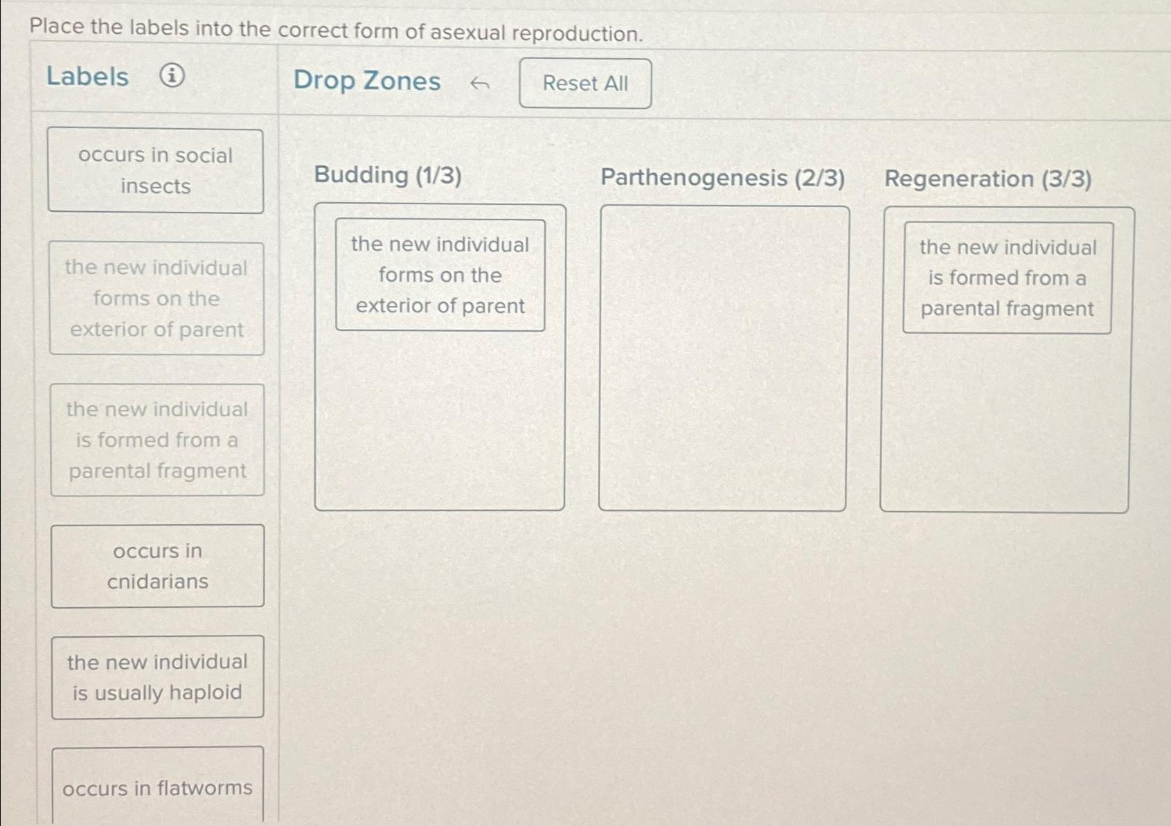 Solved Place the labels into the correct form of asexual | Chegg.com