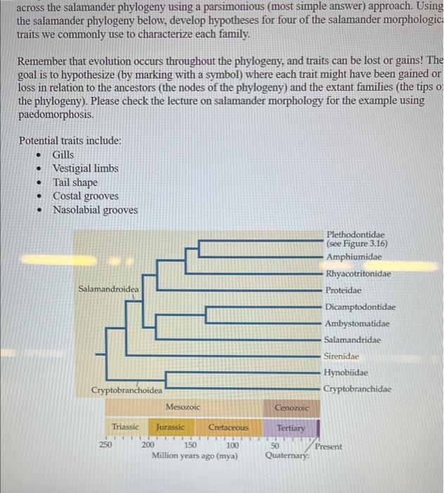 Solved Have certain traits evolved multiple times or are | Chegg.com