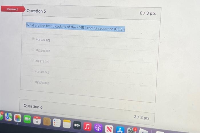 Solved What are the first 3 codons of the FMR1 coding | Chegg.com