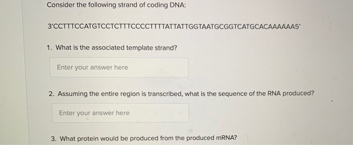 Solved Consider the following strand of coding DNA: | Chegg.com