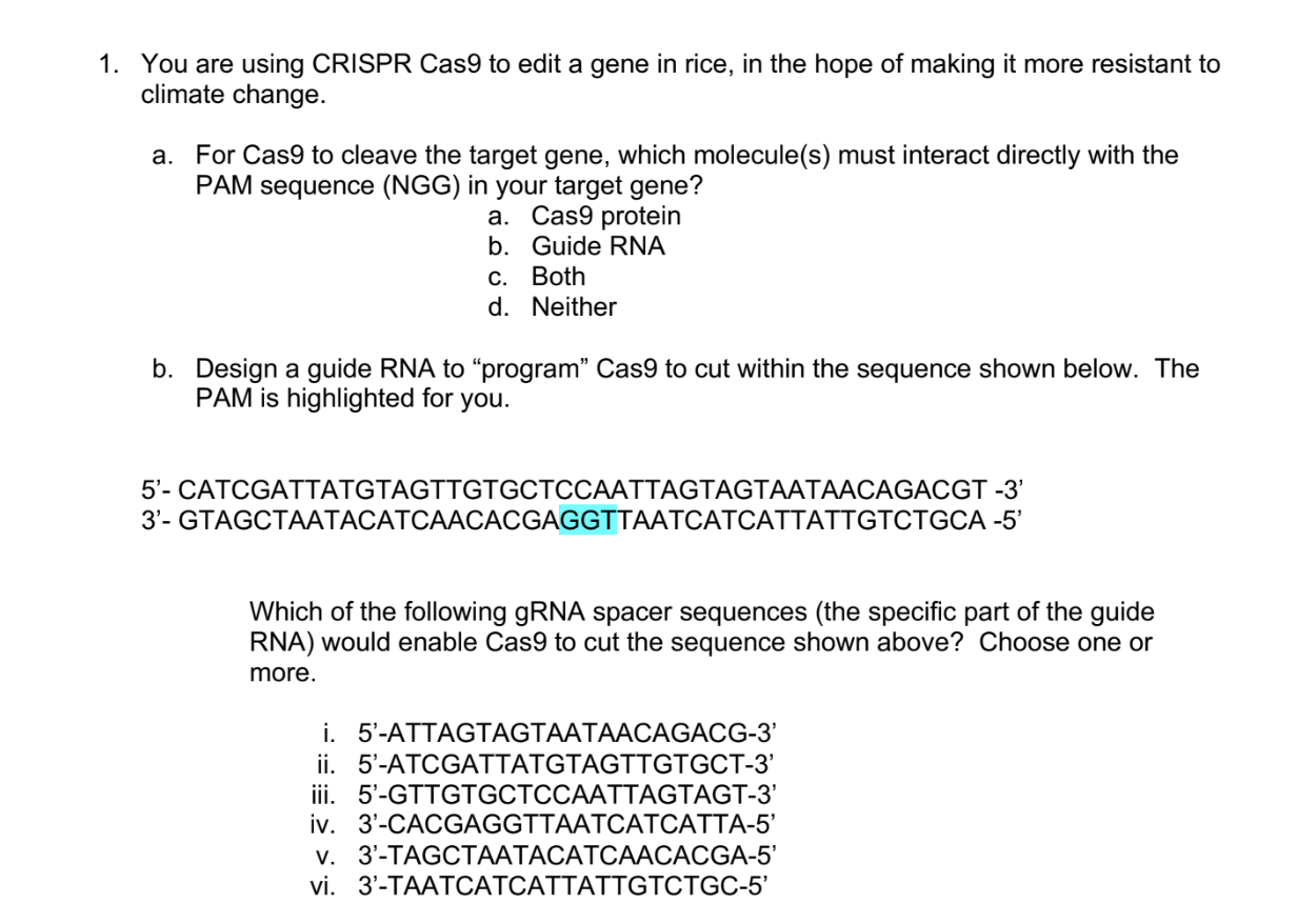 Solved 1. ﻿You are using CRISPR Cas9 ﻿to edit a gene in | Chegg.com