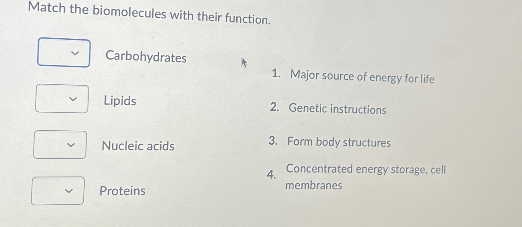 Solved Match the biomolecules with their | Chegg.com