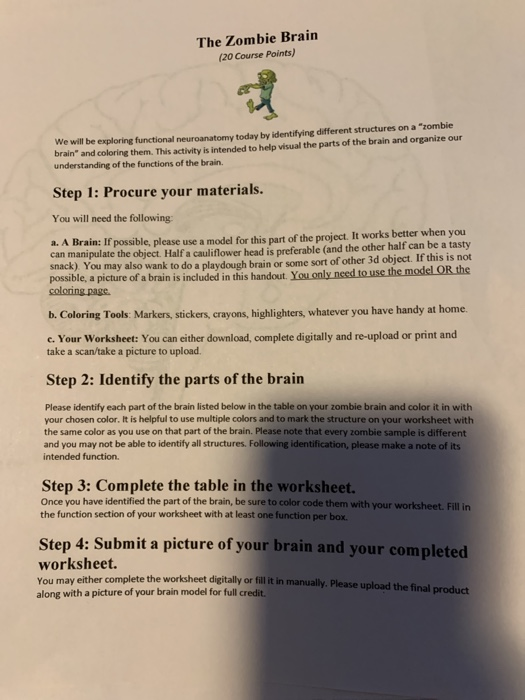 Solved The Zombie Brain (20 Course Points) We will be | Chegg.com