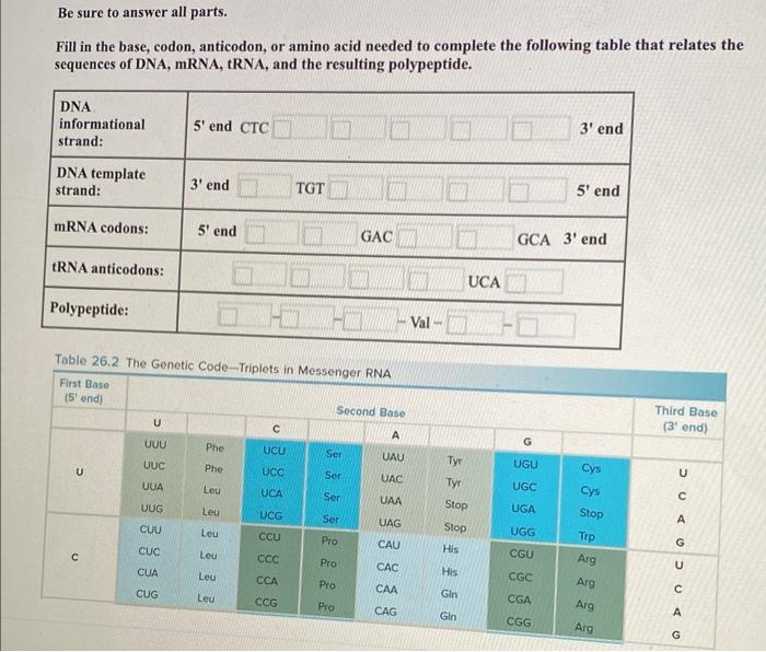Solved Fill in the base, codon, anticodon, or amino acid | Chegg.com