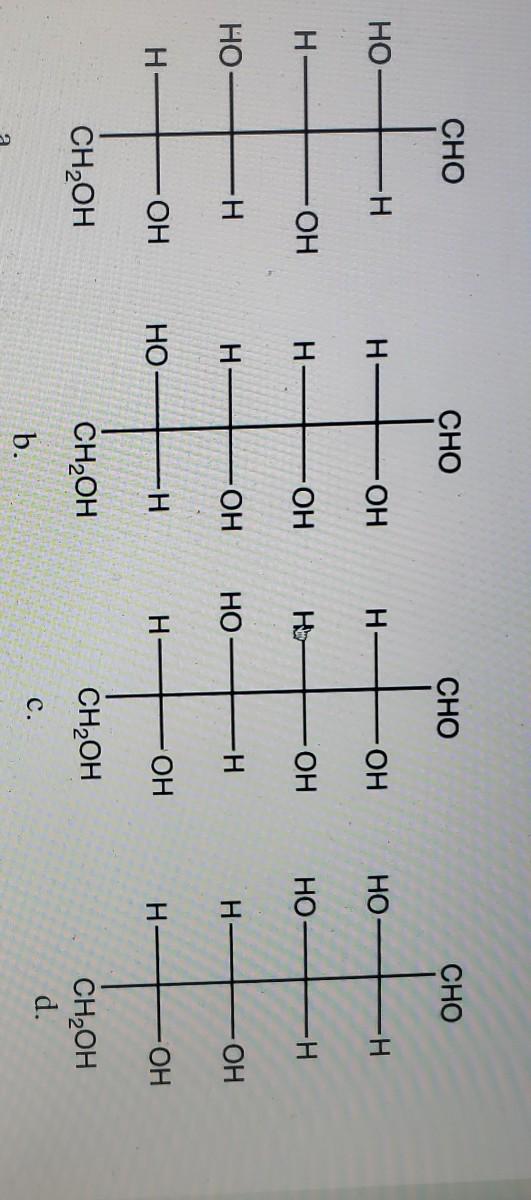 Solved The Fischer projection of D-allose is shown below. | Chegg.com