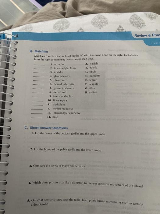 Solved Review & Prac Exei B. Matching Match each surface | Chegg.com