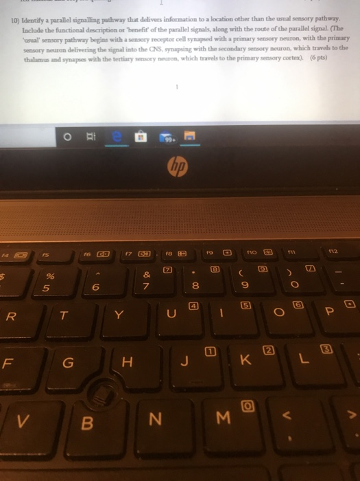 Solved Identify a parallel signaling pathway that deluvers | Chegg.com