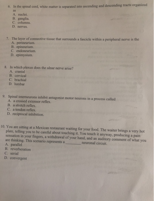 Solved 6. In the spinal cord, white matter is separated into | Chegg.com