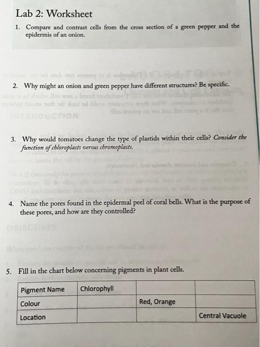 Solved Lab 2: Worksheet 1. Compare and contrast cells from | Chegg.com