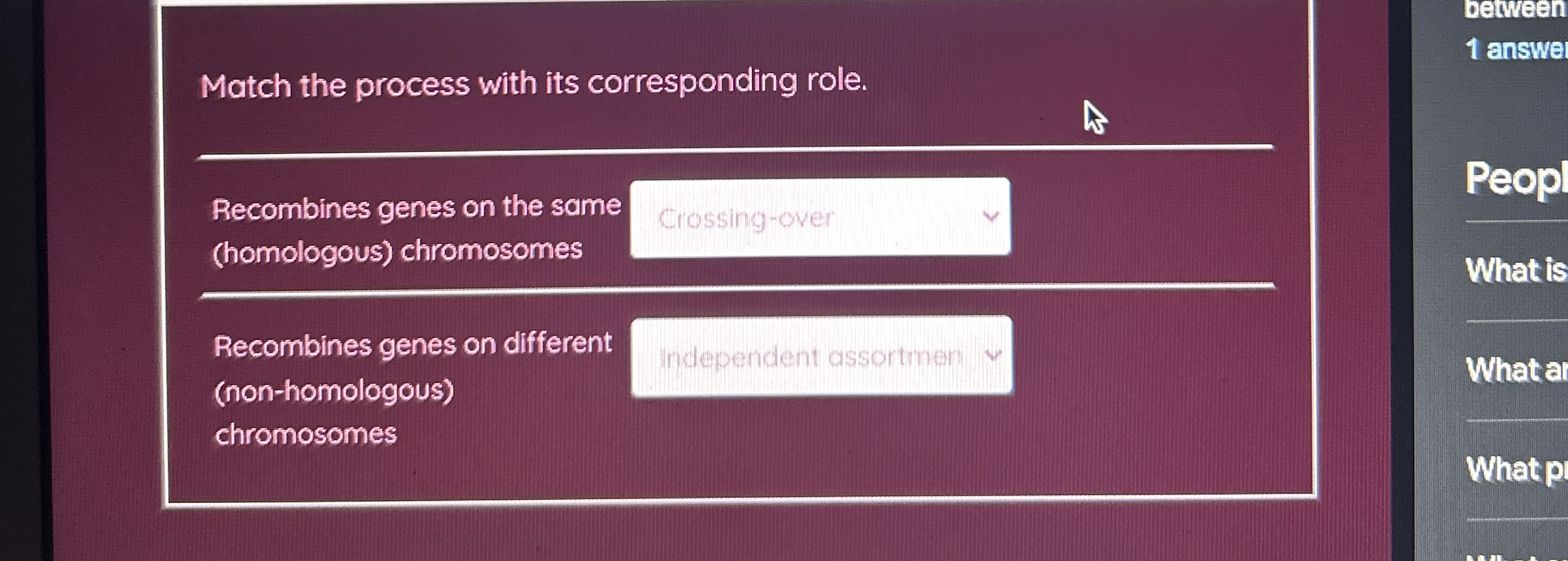 Solved Match the process with its corresponding | Chegg.com