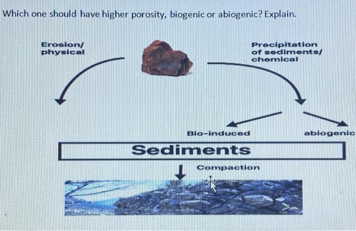 Solved Which one should have higher porosity, biogenic or | Chegg.com