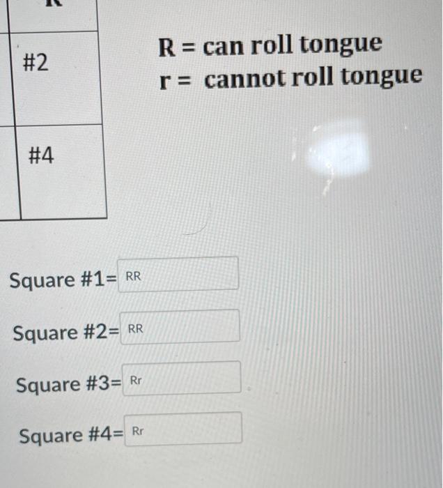 R= can roll tongue r= cannot roll tongue Square \#1= | Chegg.com