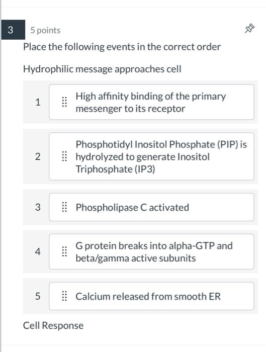 Solved 5 points Place the following events in the correct | Chegg.com