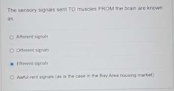 Solved The sensory signals sent TO muscles FROM the brain | Chegg.com
