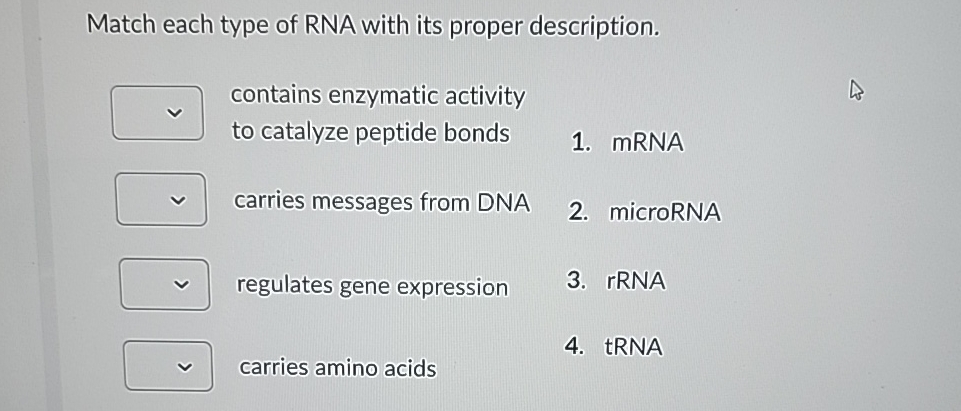 Solved Match each type of RNA with its proper | Chegg.com