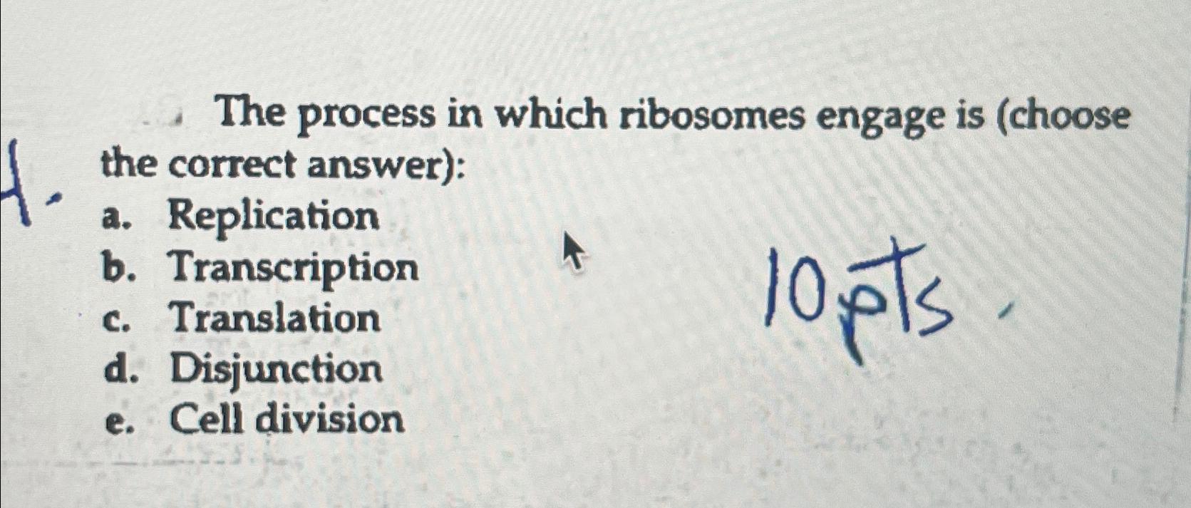 Solved The process in which ribosomes engage is (choose the | Chegg.com