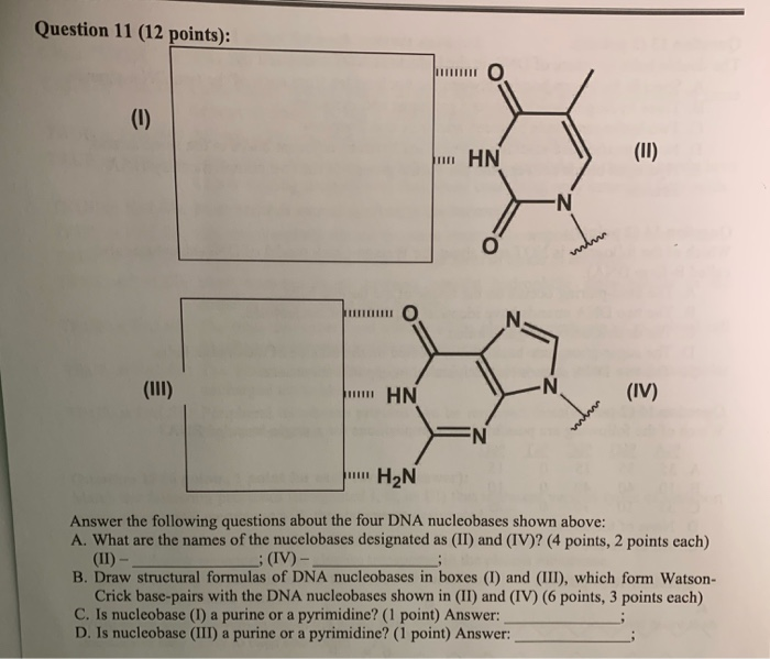 Solved Question 11 (12 points): HN IN » (III) HN (IV) H2N | Chegg.com