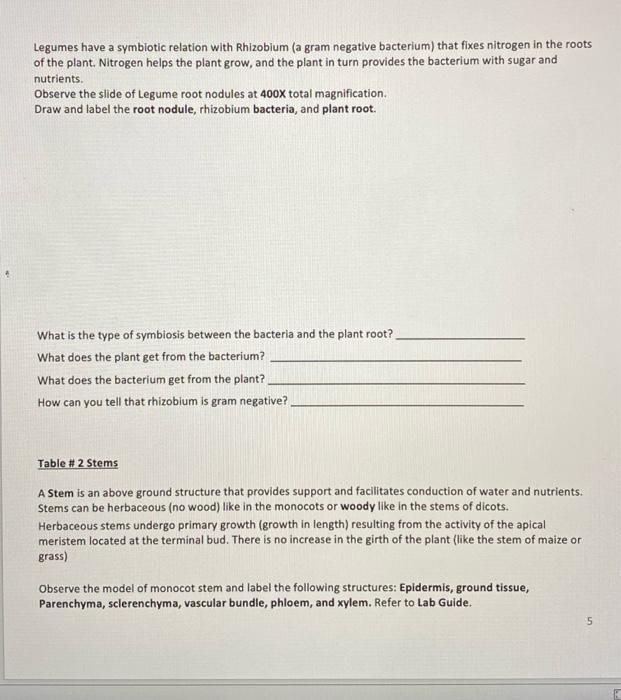 Solved Lab # 9-Angiosperms: Form and Function Lab #9 - | Chegg.com