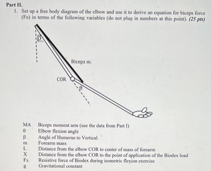 Solved Part II. 1. Set up a free body diagram of the elbow | Chegg.com