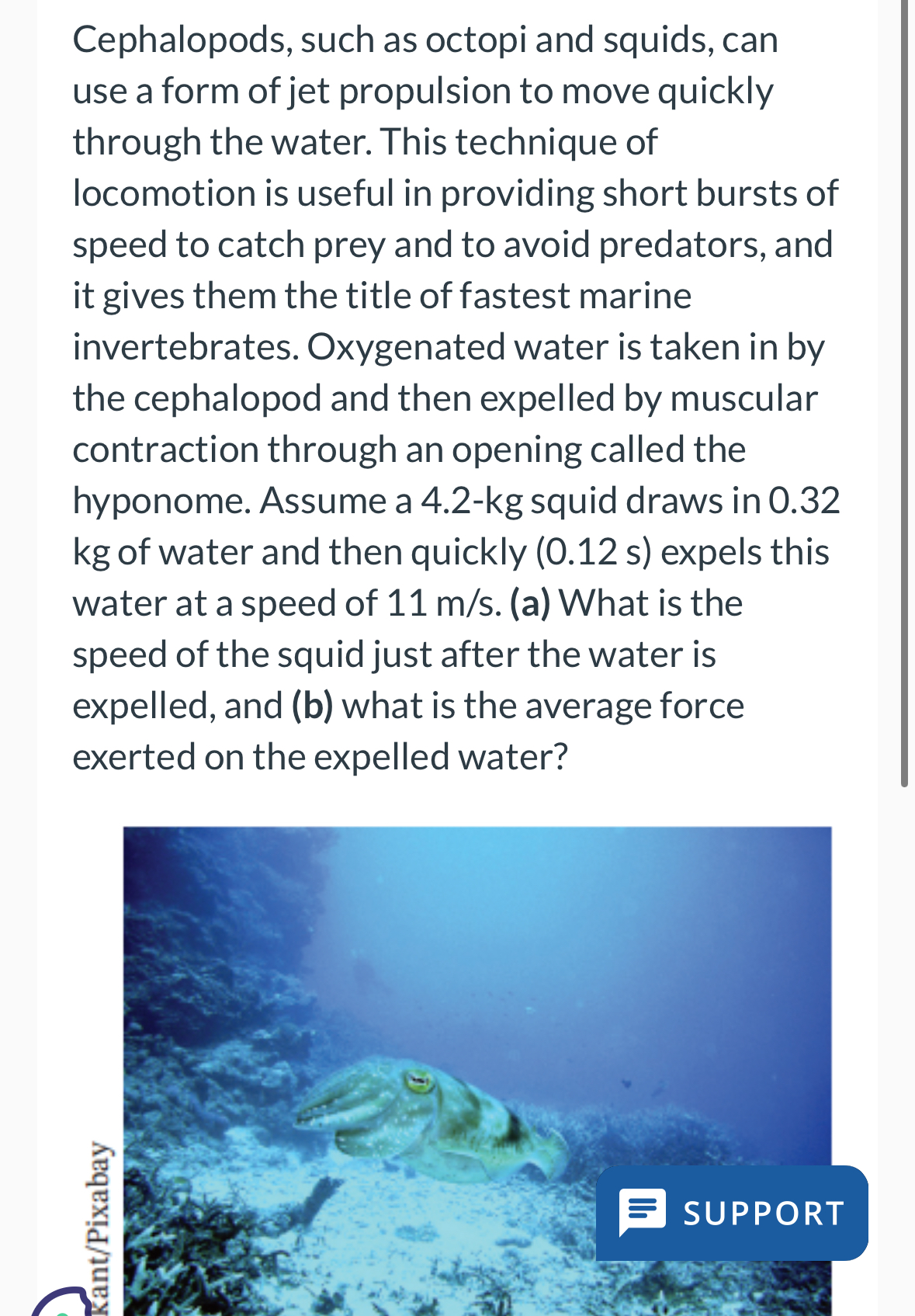 Solved Cephalopods, such as octopi and squids, can use a | Chegg.com