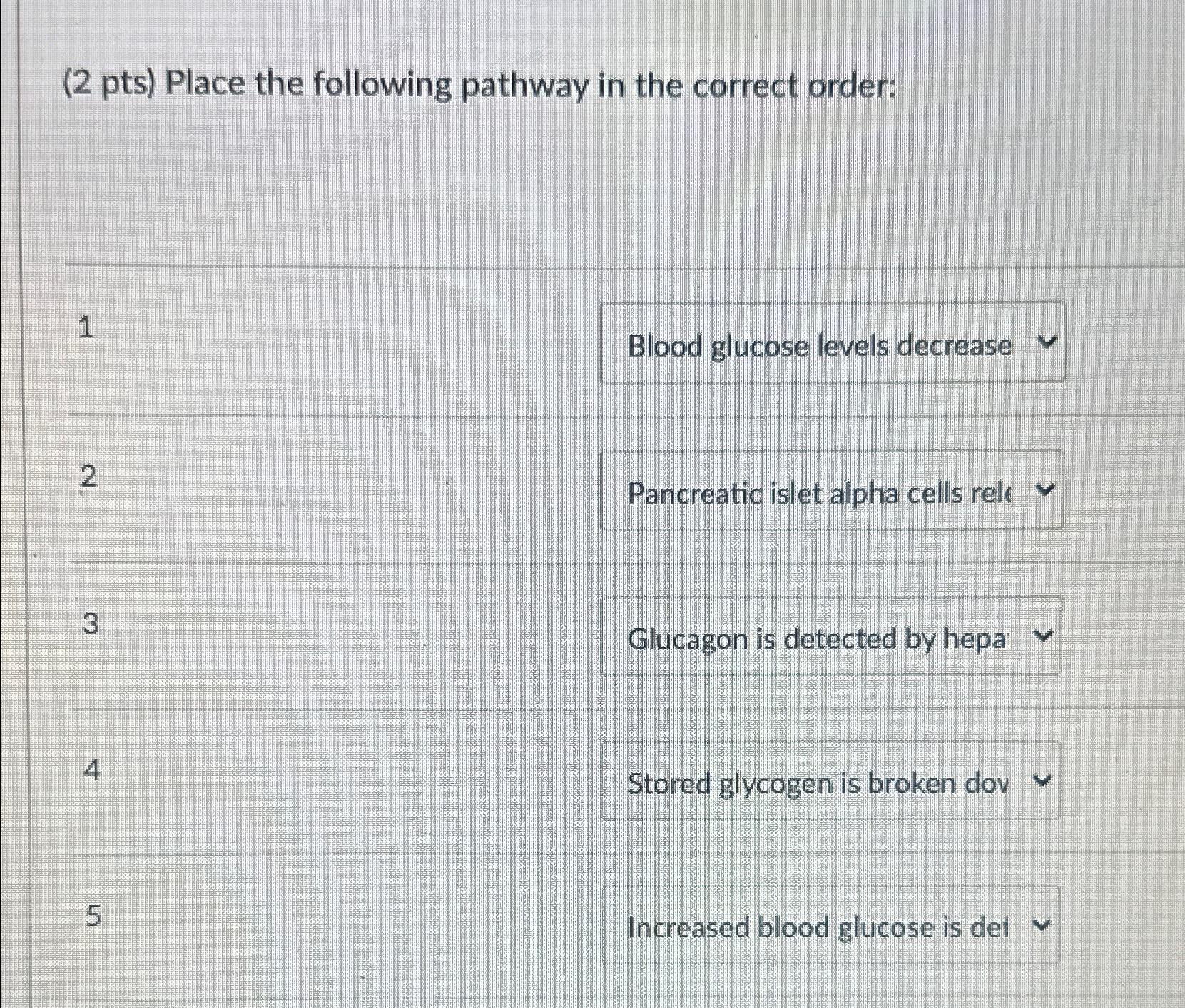 Solved (2 ﻿pts) ﻿Place the following pathway in the correct | Chegg.com