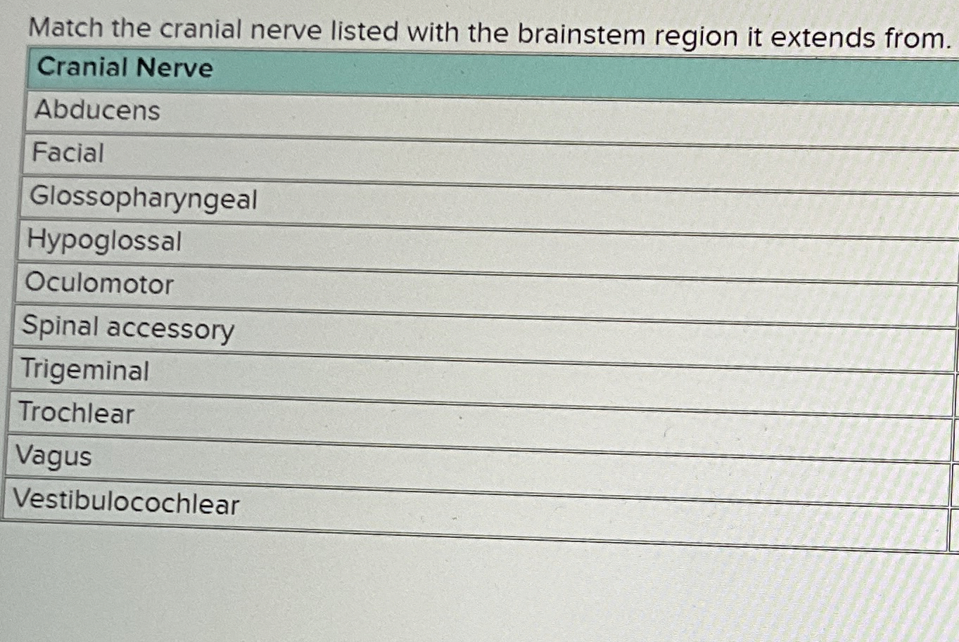Solved Match the cranial nerve listed with the brainstem | Chegg.com