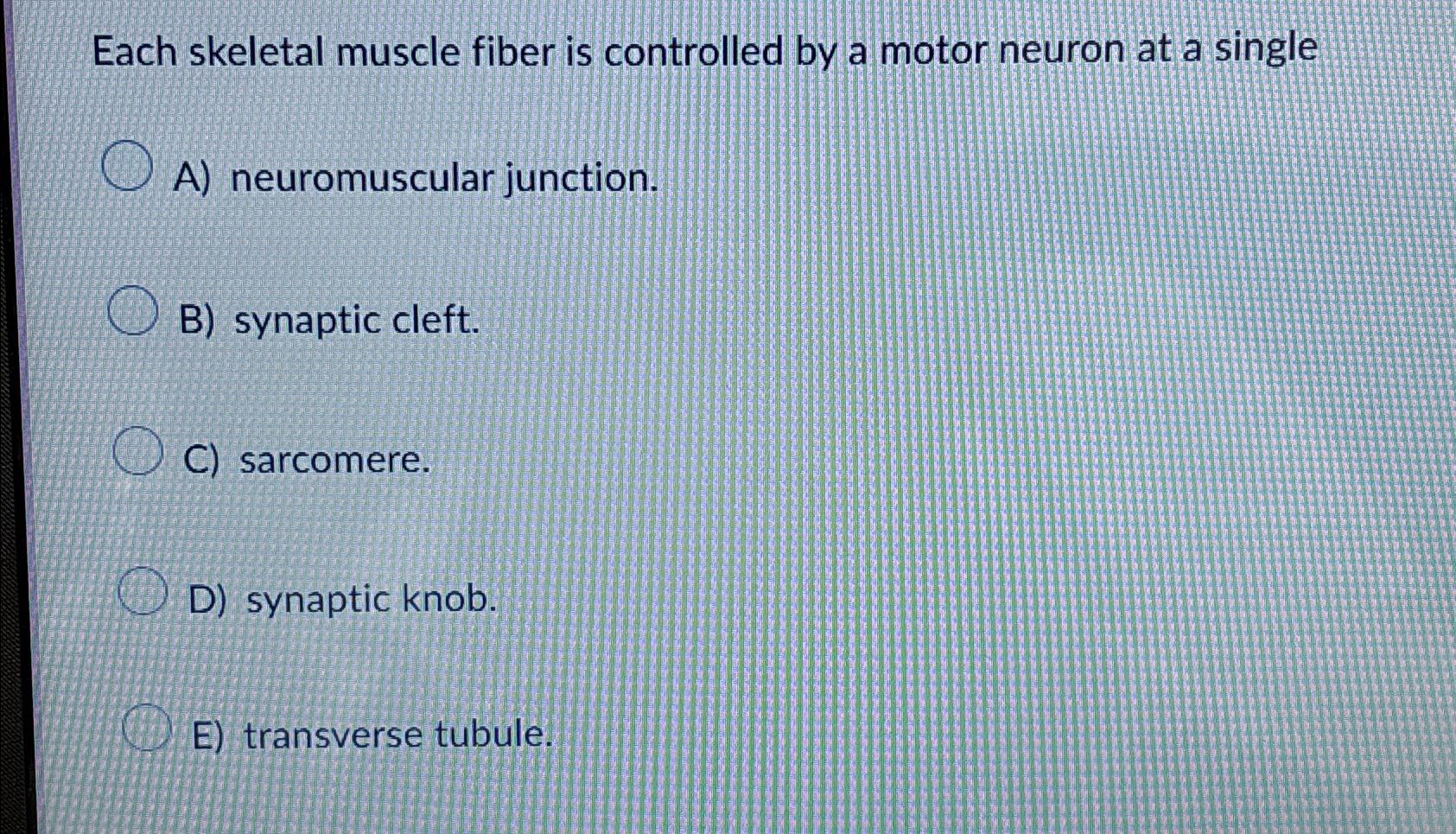 Solved Each skeletal muscle fiber is controlled by a motor | Chegg.com