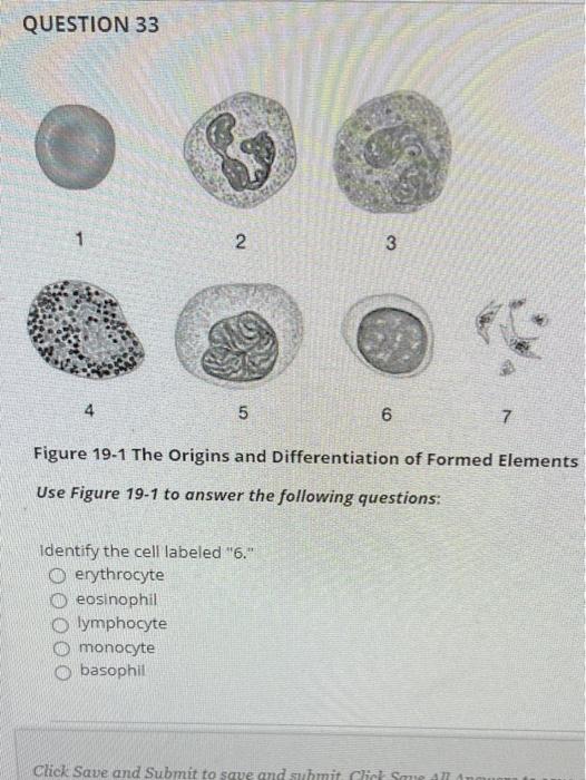 Solved QUESTION 3 2 3 4 5 6 7 Figure 19-1 The Origins and | Chegg.com