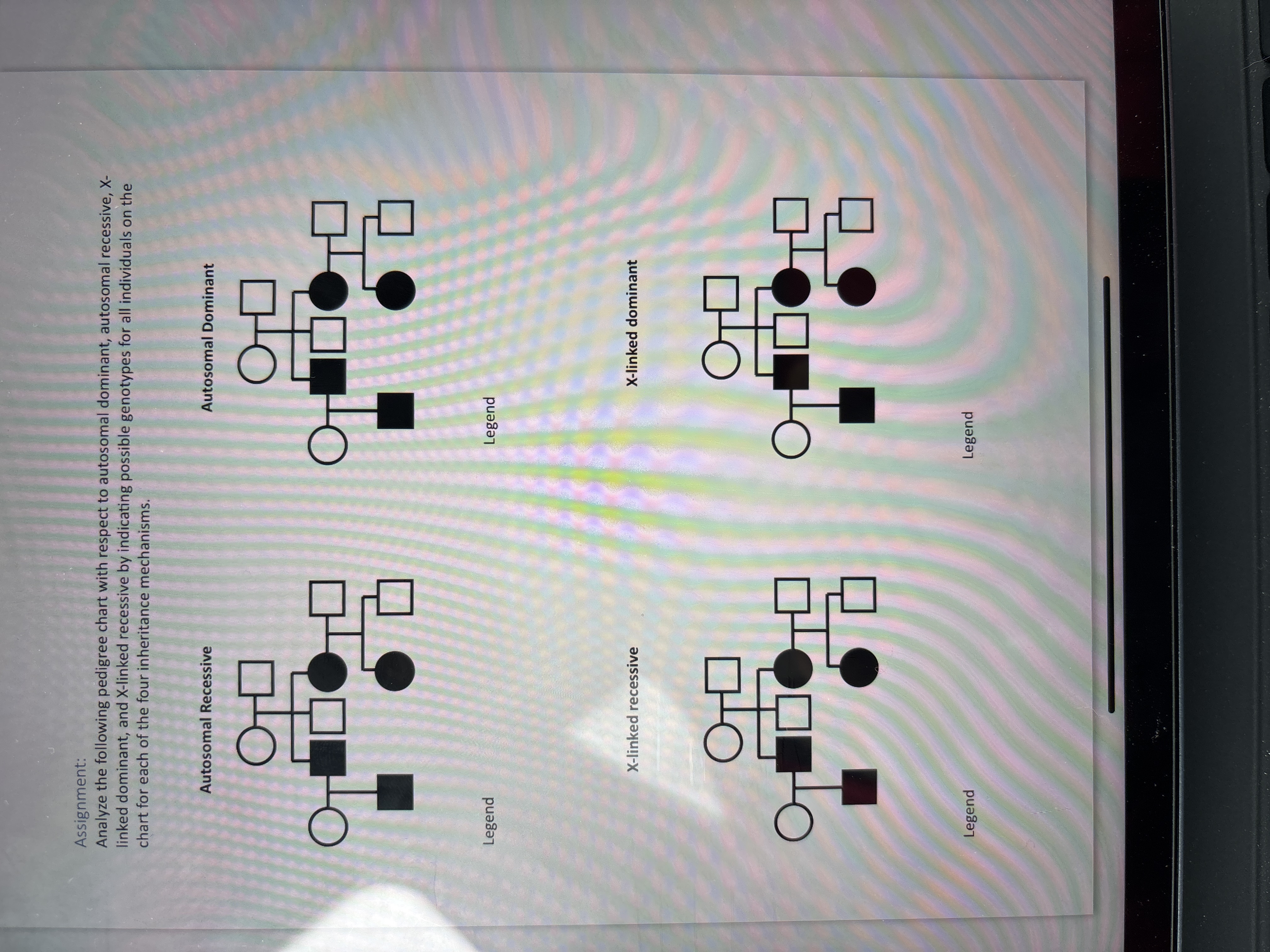 Solved Assignment: Analyze the following pedigree chart with | Chegg.com