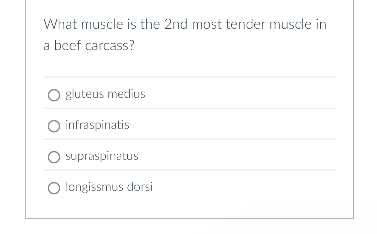 Solved What muscle is the 2 ﻿nd most tender muscle in a beef | Chegg.com