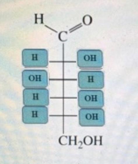 Solved circle the carbon that becomes anomeric when glucose | Chegg.com