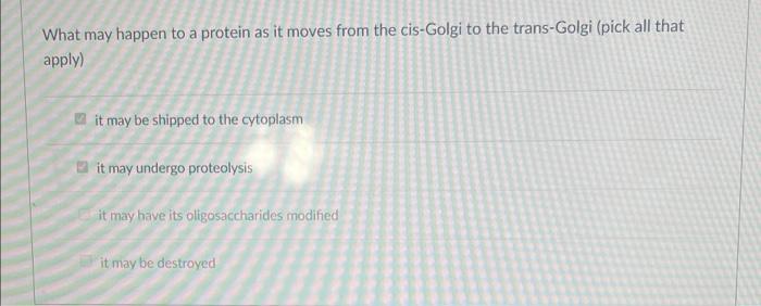 Solved Which of the following is the correct route for a | Chegg.com