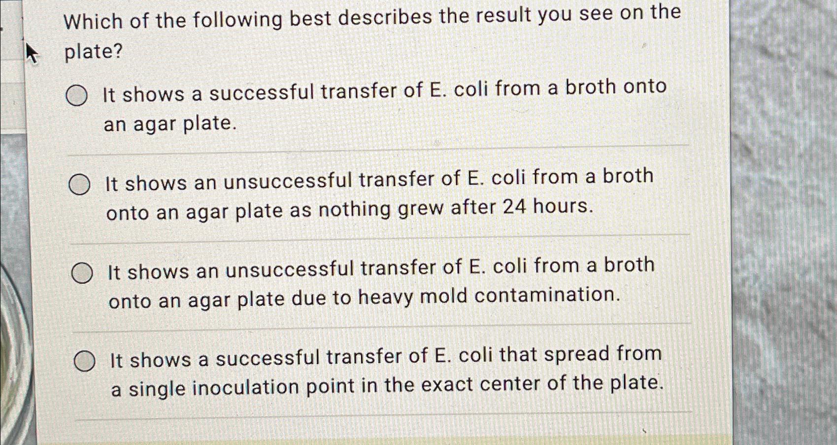 Solved Which of the following best describes the result you | Chegg.com