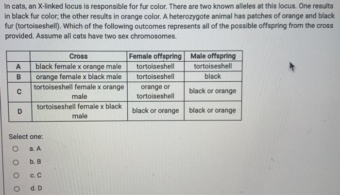 Solved In cats, an X-linked locus is responsible for fur | Chegg.com