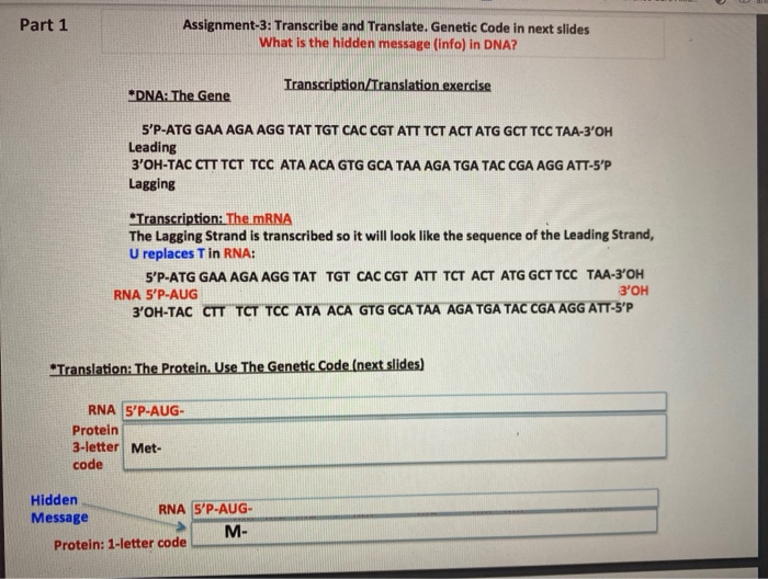 Solved Part 1 Assignment-3: Transcribe and Translate. | Chegg.com