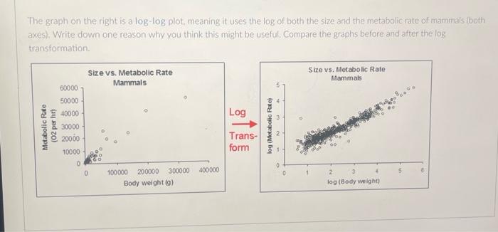 Solved In the video we plotted values of log(A) with t, | Chegg.com