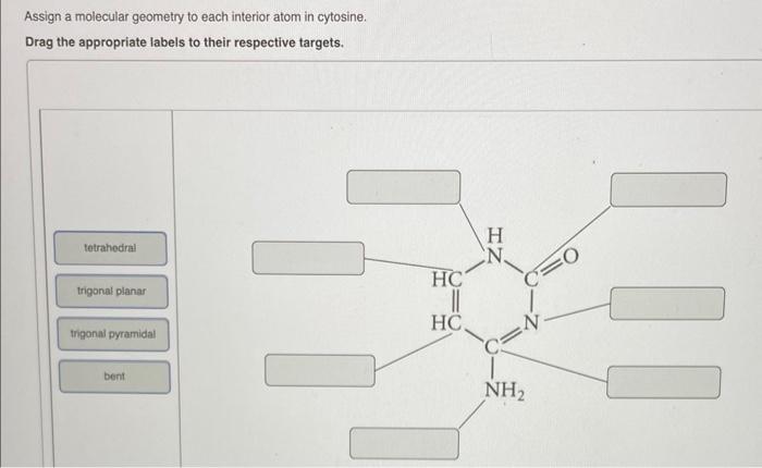 Solved Assign a molecular geometry to each interior atom in | Chegg.com