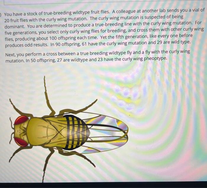 Solved You have a stock of true-breeding wildtype fruit | Chegg.com