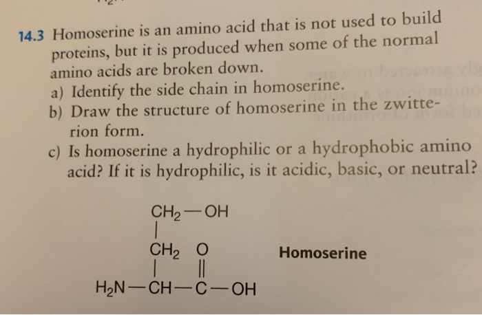 Solved 14.3 Homoserine is an amino acid that is not used to | Chegg.com