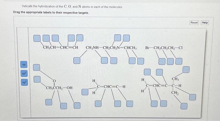 Solved Indicate the hybridization of the C, O, and N atoms | Chegg.com